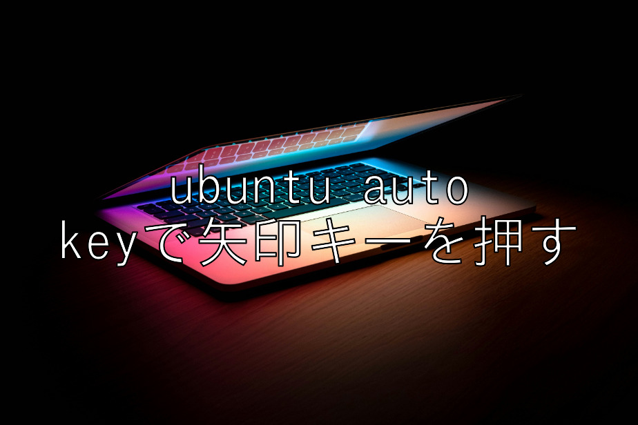 ubuntu autokeyで矢印キーを押す