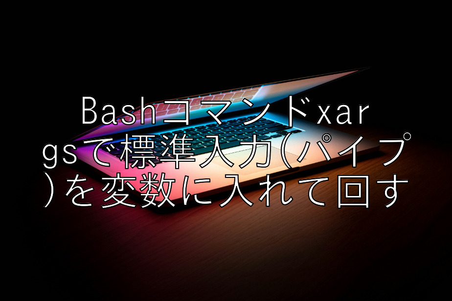 Bashコマンドxargsで標準入力(パイプ)を変数に入れて回す